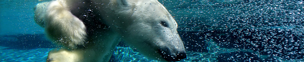 IP67 D-Sub Connectors | IP67 Connector Technology | NorComp